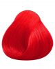 Neon Red Directions | Buy online HERE! | Horror-Shop.com