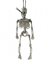Positionable Skeleton With Glowing Red Eyes 165cm ★ | Horror-Shop.com