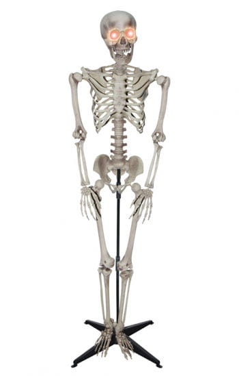Realistic skeleton standing figure | Skeleton with LED eyes for ...