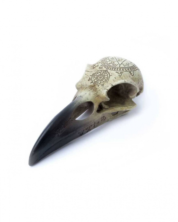 Omega Raven Skull | Voodoo decoration | Horror-Shop.com