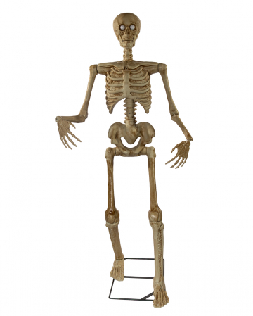 Scary Skeleton Halloween Animatronic 150cm | Horror-Shop.com