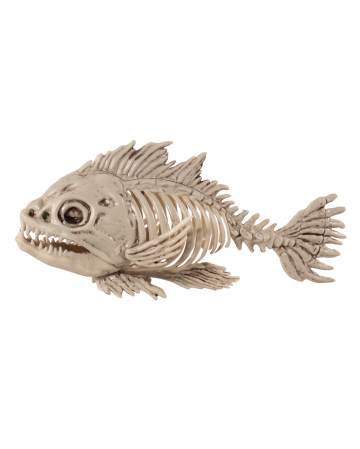 Skeleton Fish As Decoration 25cm order | Horror-Shop.com