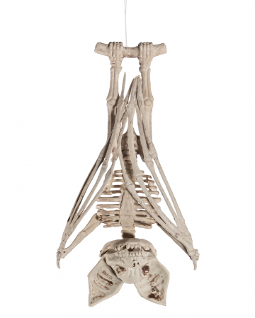Skelett Fledermaus mit beweglichen Flügeln 27cm ★ | Horror-Shop.com