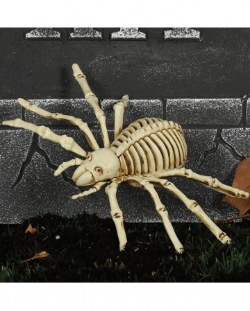 Skeleton Spider 24cm Halloween Decoration | Horror-Shop.com