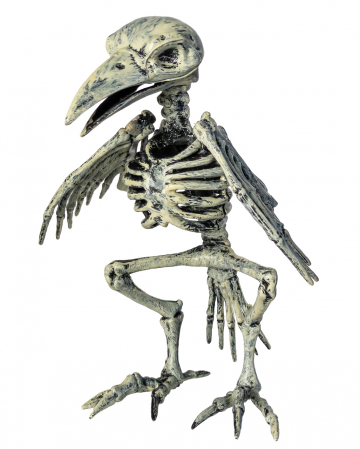 Rotten Skeleton Raven 20cm as Halloween decoration | Horror-Shop.com