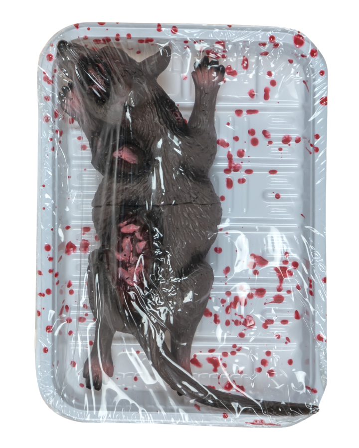 Bloody Rat Butcher Plate Deco buy online | Horror-Shop.com