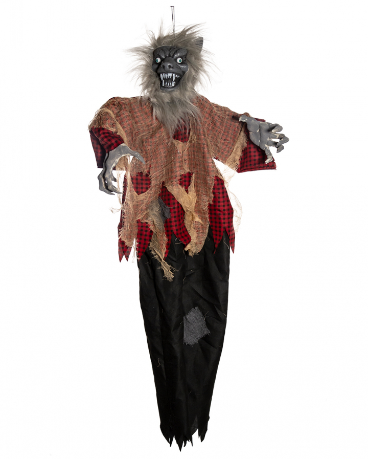 Howling Werewolf With Movement & Light-up Eyes Hanging Figure 120cm 💀 ...
