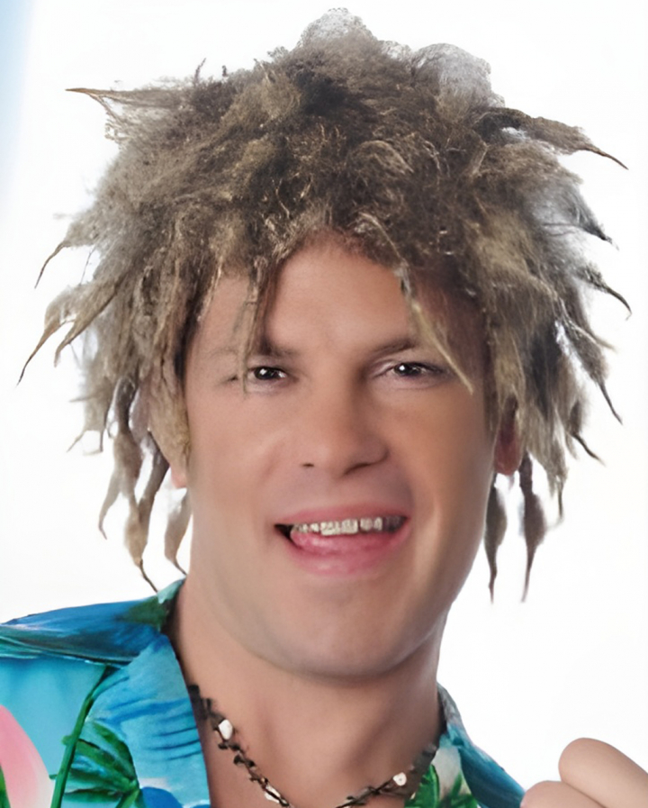 High Beach Boy Wig for carnival & theme parties | Horror-Shop.com