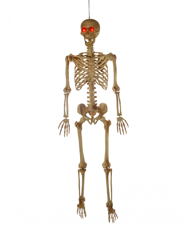 Positionable Skeleton With Glowing Red Eyes 165cm ★ | Horror-Shop.com