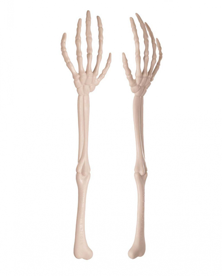 2 Skeleton Arms As Decoration order for Halloween 💀 | Horror-Shop.com