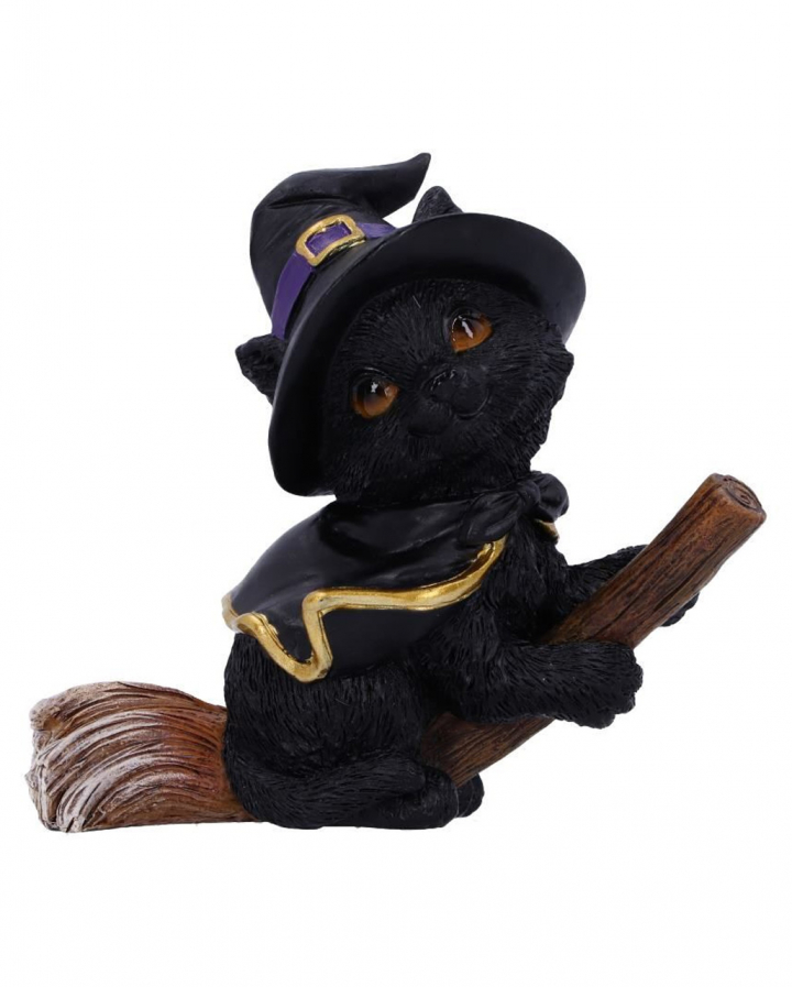 Tabitha Cat On Witches Broom as a gift | Horror-Shop.com