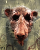 Bloody Typhus Sewer Rat Mask for Halloween | Horror-Shop.com