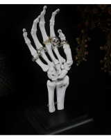 Skeleton Hand Jewelry Holder | Gothic home decor | Horror-Shop.com