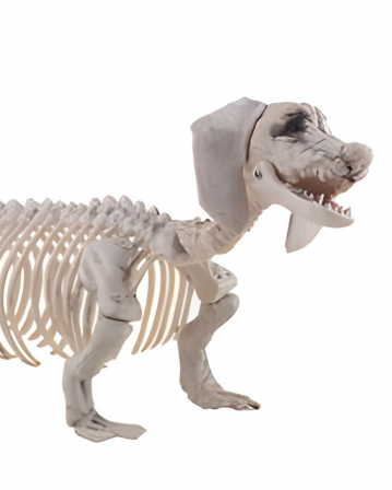 Sitting Dog Skeleton 30 Cm as Halloween decoration | Horror-Shop.com