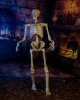 Scary Skeleton Halloween Animatronic 150cm | Horror-Shop.com