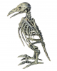 Rotten Skeleton Raven 20cm as Halloween decoration | Horror-Shop.com