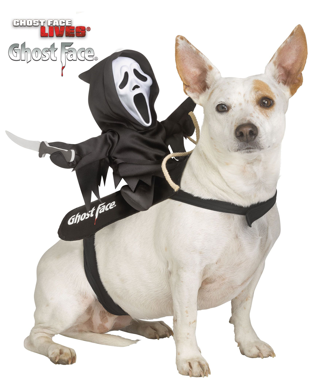 Ghost Face Animal Costume for dogs & cats | Horror-Shop.com