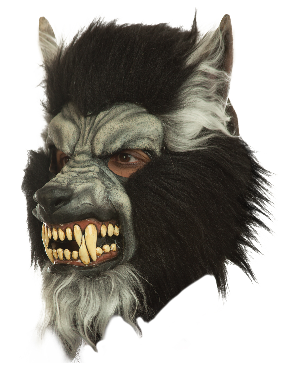 Gray Wolf Mask With Bared Teeth | Horror-Shop.com