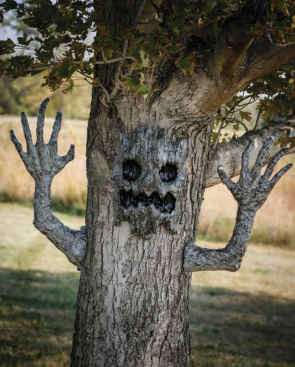 Spooky Tree