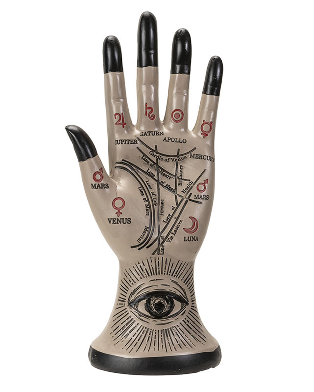 Palmistry Divination Hand 22,5cm | Buy online HERE! | Horror-Shop.com