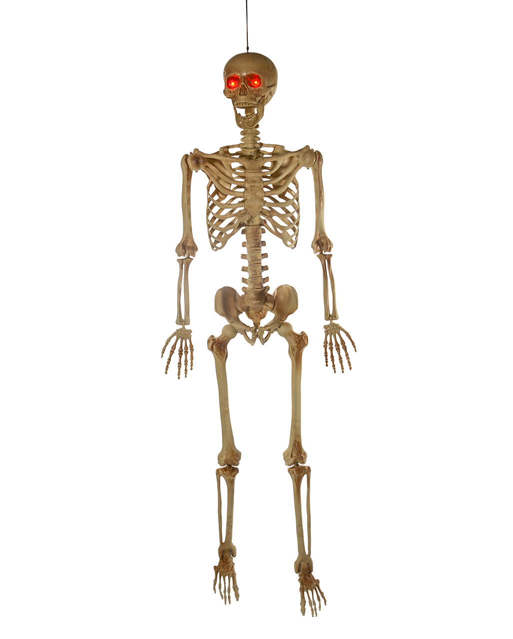 Scary Skeleton Red Eyes The Holiday Aisle® 2 PCS 16” Halloween