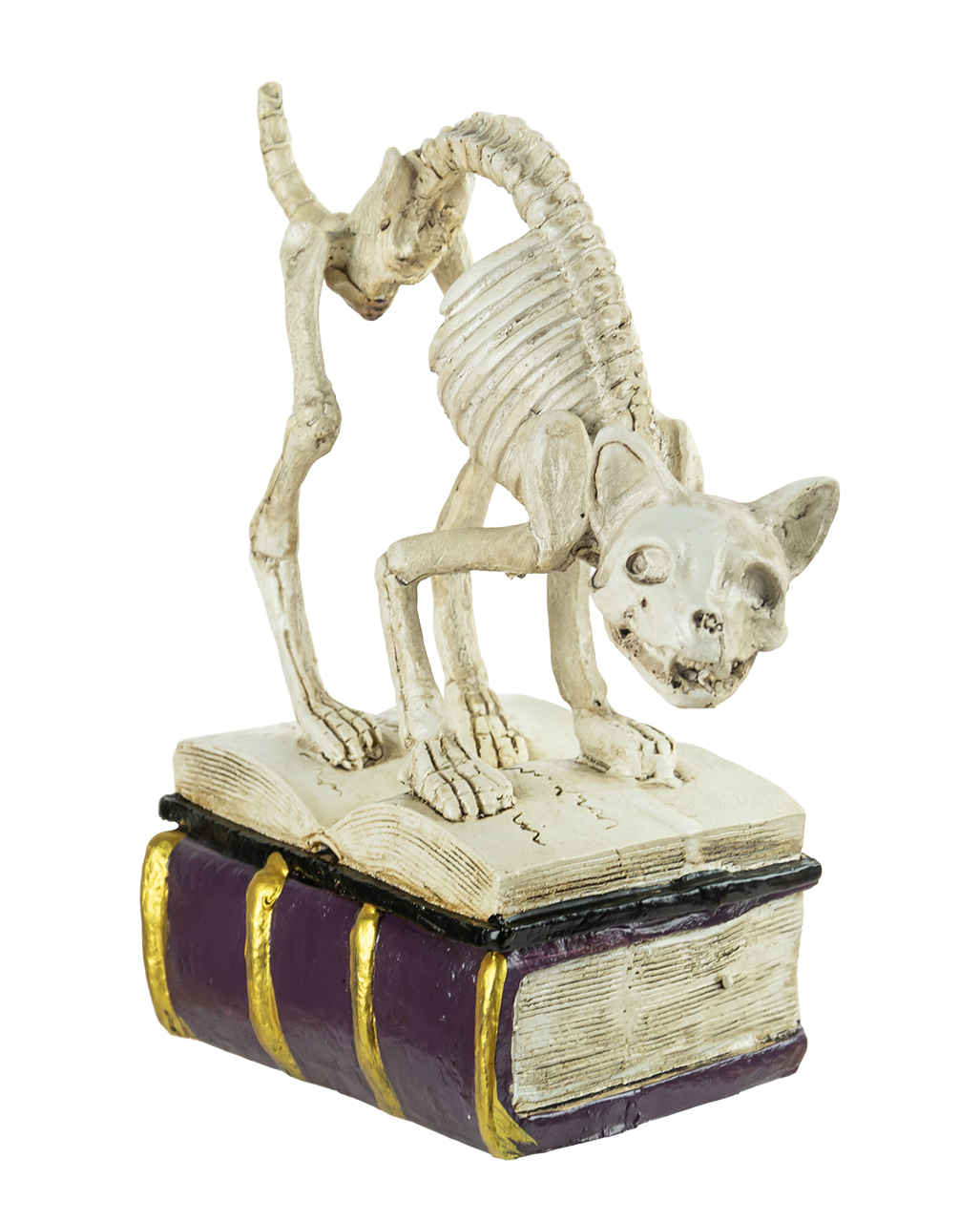Skeleton Cat On Magic Books 17,5cm as a gift idea! | Horror-Shop.com