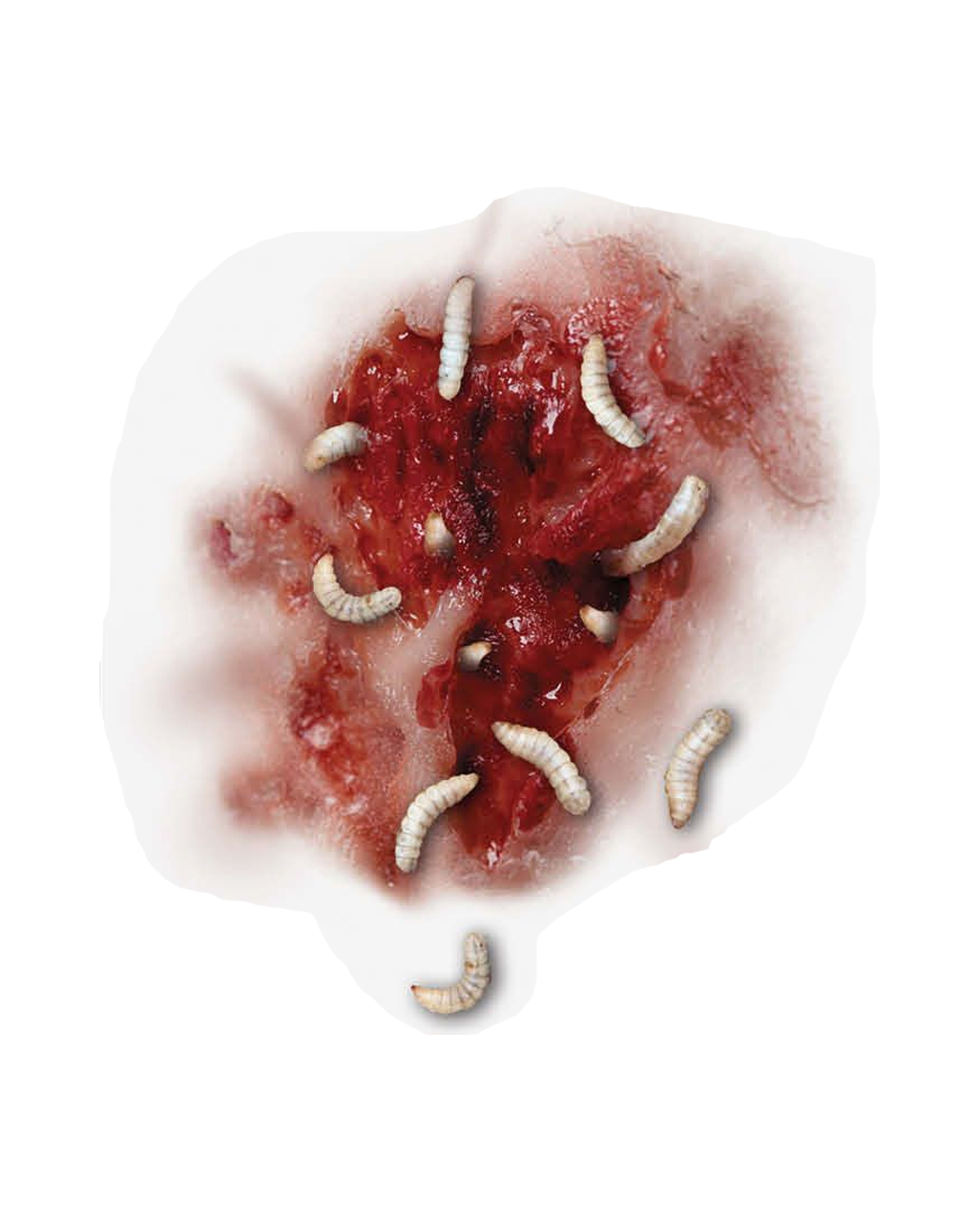 Rot Maggot Tattoos as a special make-up accessory | Horror-Shop.com