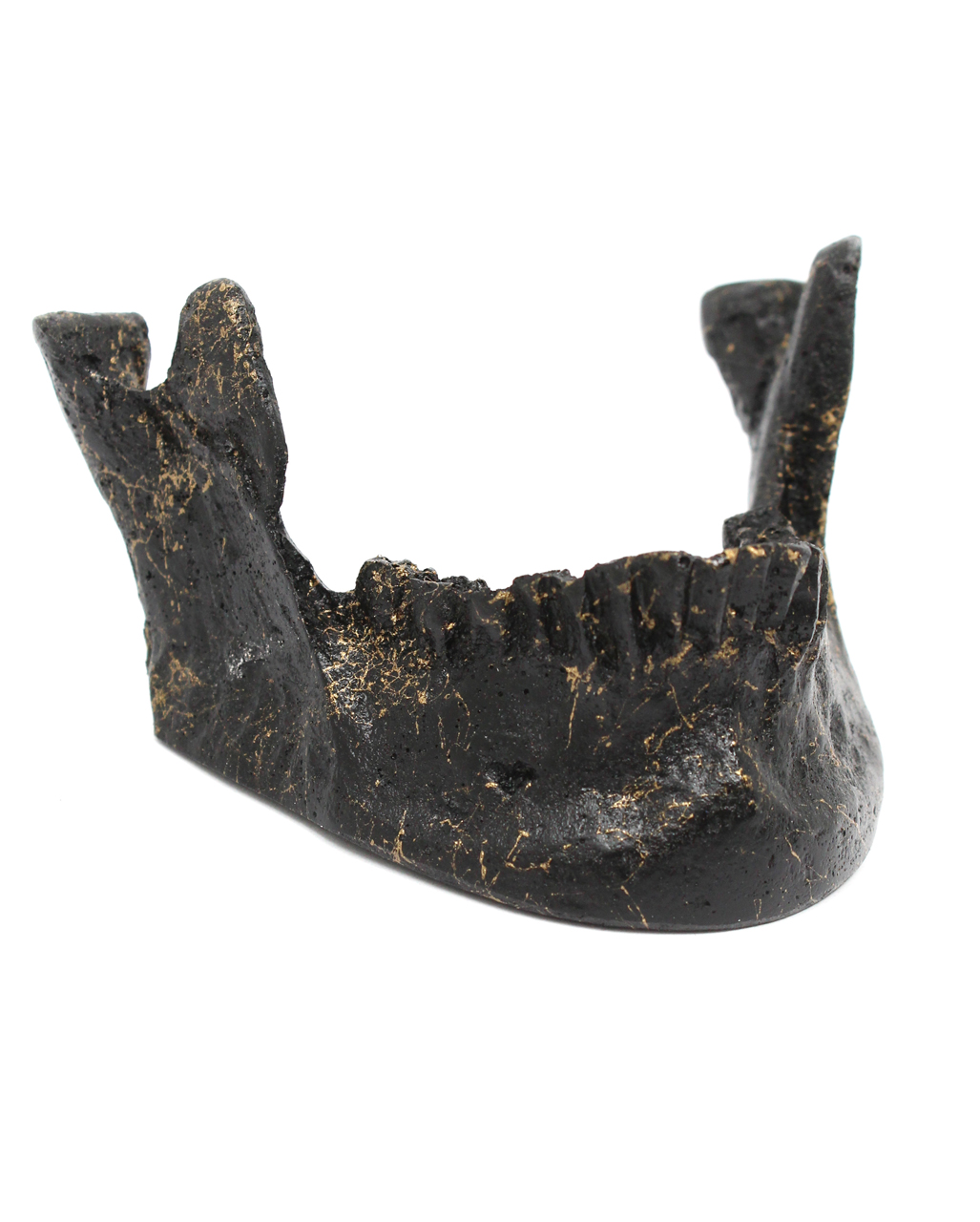 Black Lower Jaw As Business Card Holder ★ | Horror-Shop.com