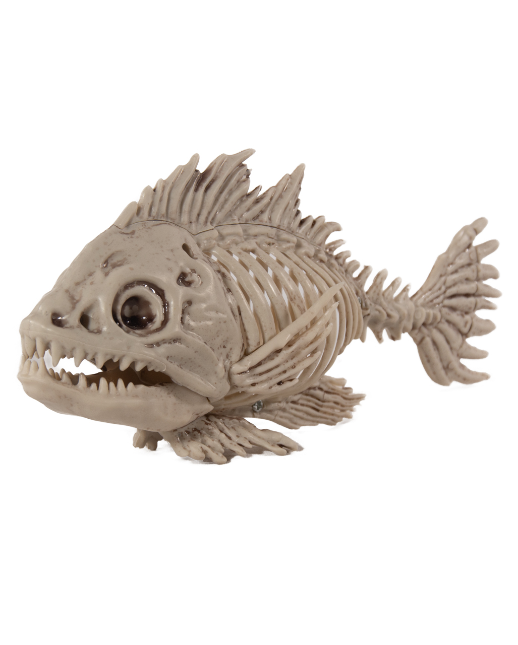 Skeleton Fish As Decoration 25cm order | Horror-Shop.com