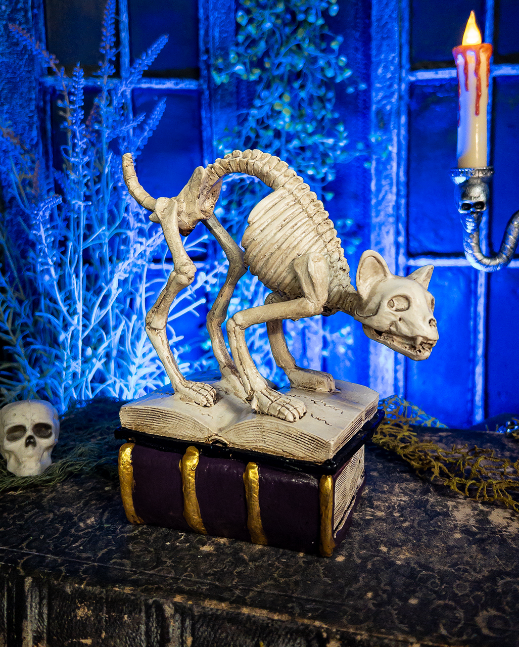 Skeleton Cat on Spellbooks 17,5cm | Horror-Shop.com