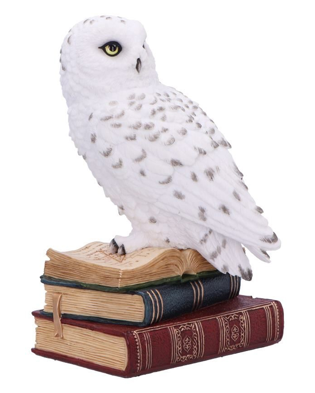 Library Of Wisdom Owl Decorative Figurine 17cm for goths & witches ...