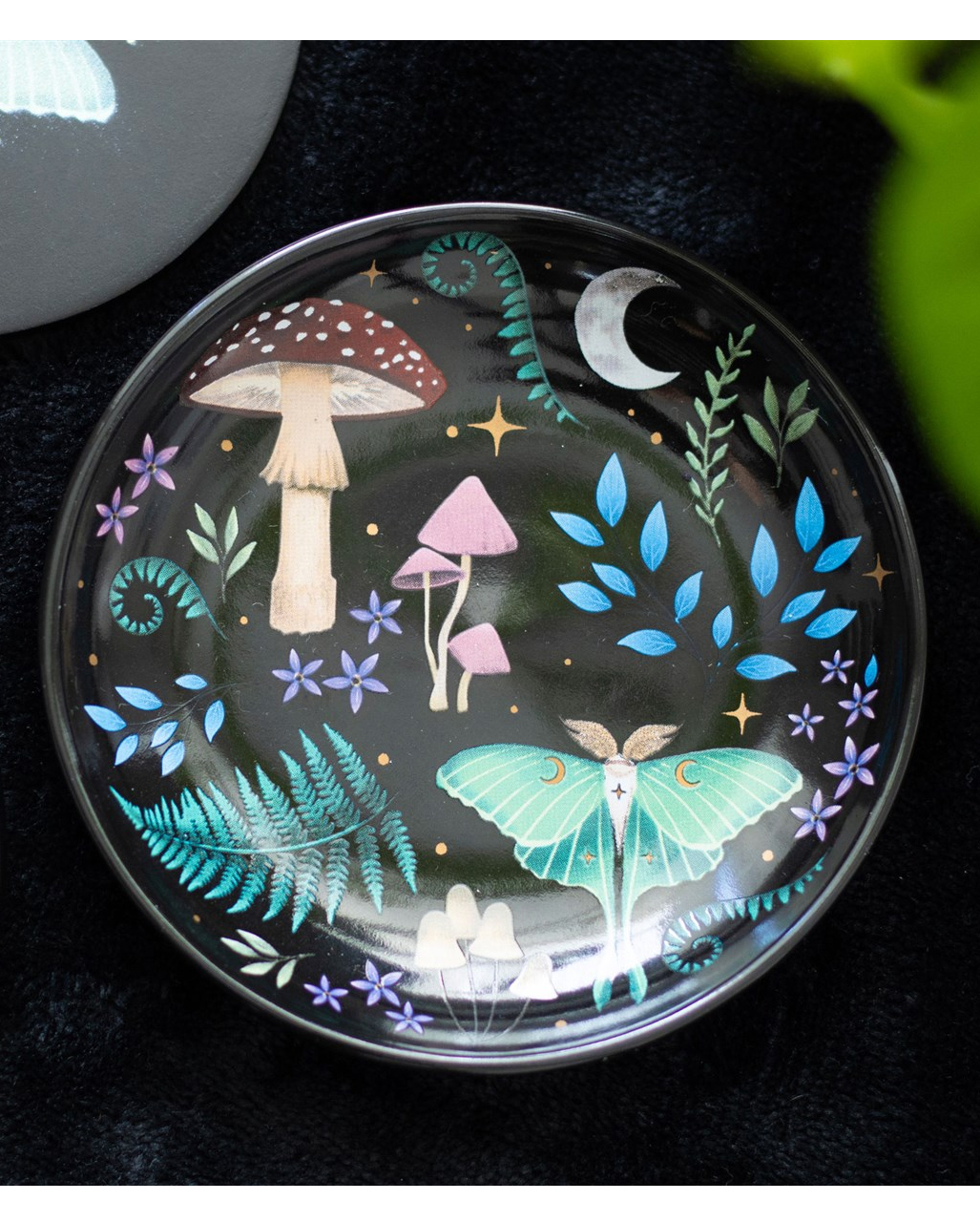 Magic Forest Decorative Plate 11cm Ø | Order NOW! | Horror-Shop.com