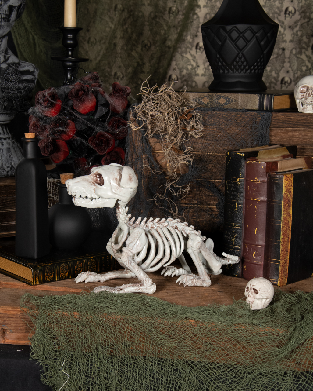 Schnauzer Dog Skeleton As Halloween Decoration 27cm | Horror-Shop.com