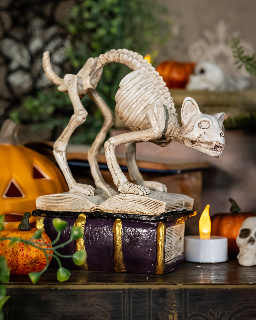 Skeleton Cat on Spellbooks 17,5cm | Horror-Shop.com