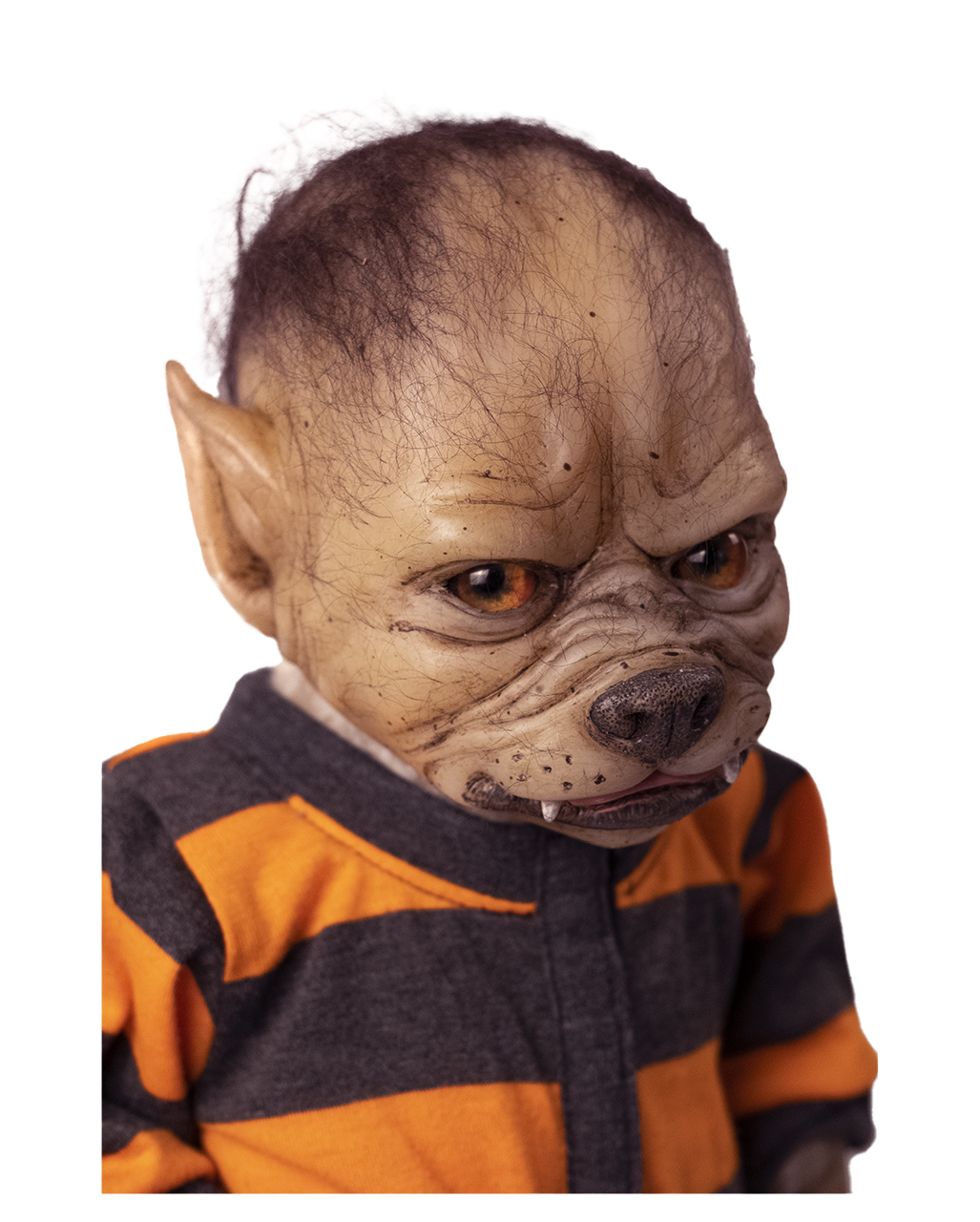 Cooper - WerePups | Halloween Werewolf Baby | Horror-Shop.com