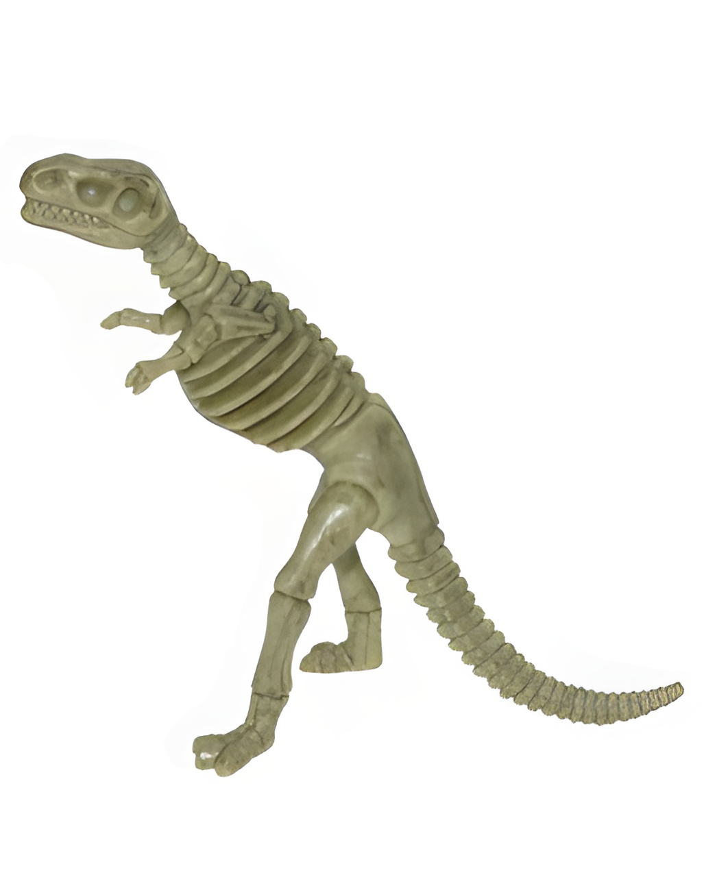 Dinosaur Skeleton Figure buy as a gift idea! | Horror-Shop.com