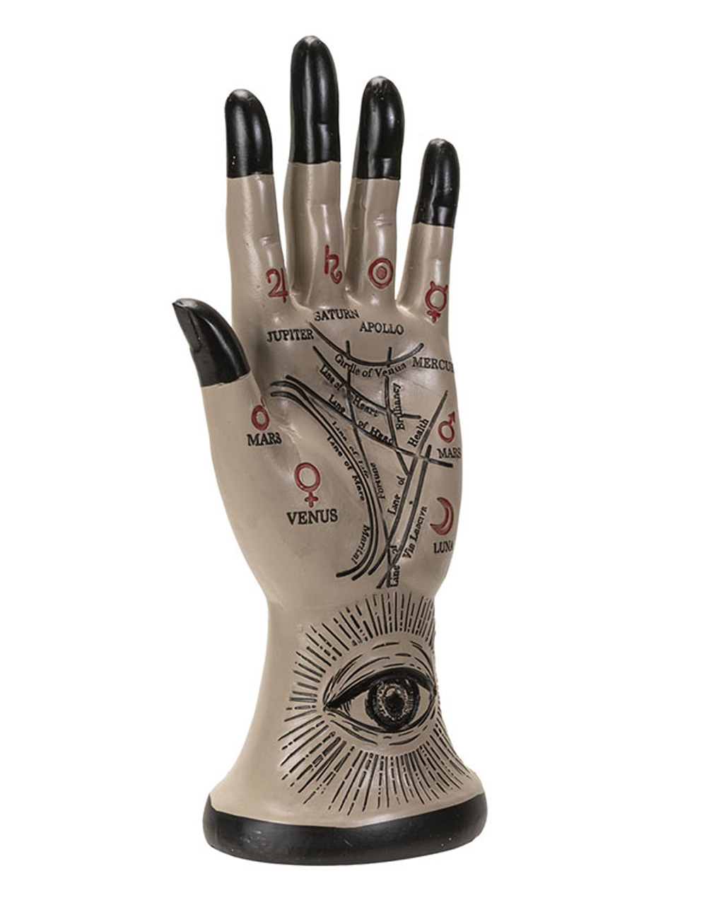Palmistry Divination Hand 22,5cm | Buy online HERE! | Horror-Shop.com