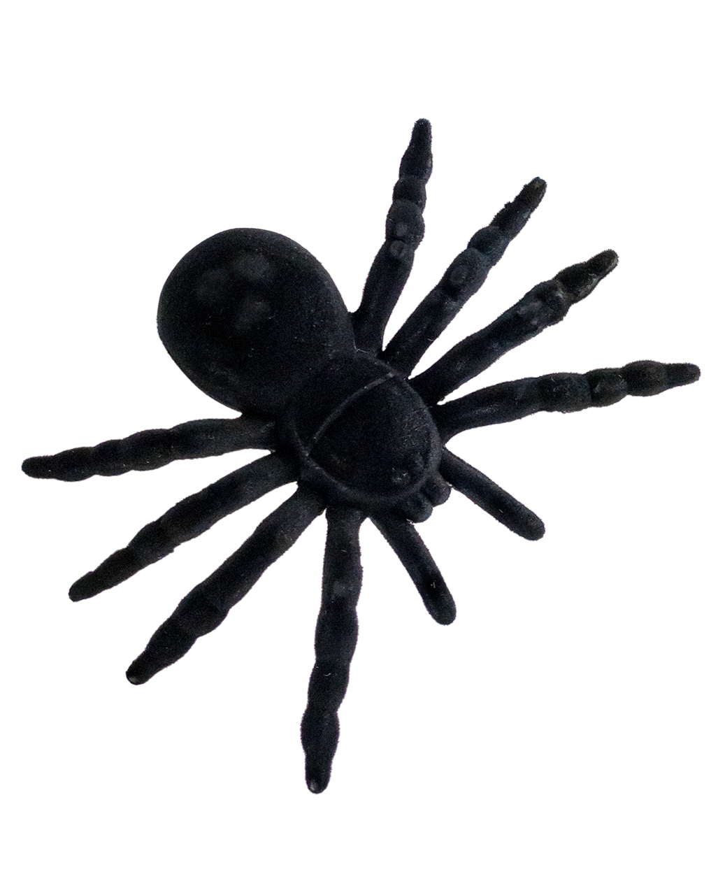 Black Giant Spider 16cm as Halloween decoration | Horror-Shop.com
