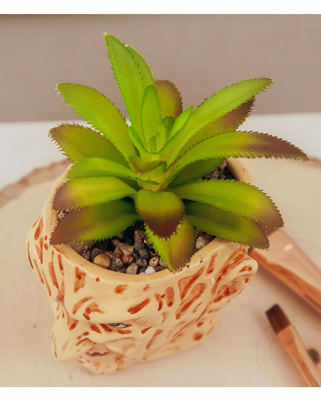 A Nightmare On Elm Street Freddy Krueger Pot With Plant ★ | Horror-Shop.com