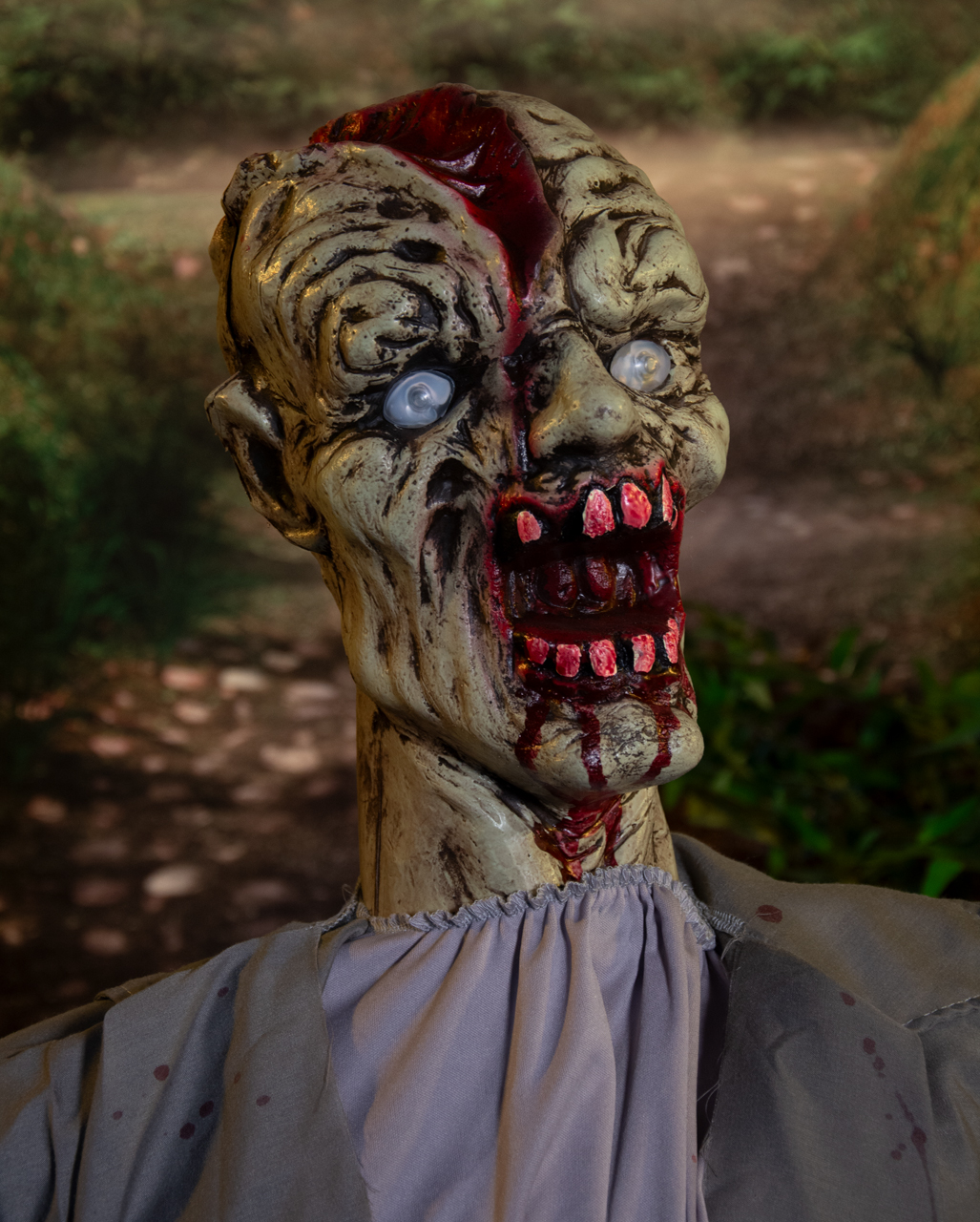 Bloody Zombie Torso With Movement, Light & Sound 80cm ★ | Horror-Shop.com