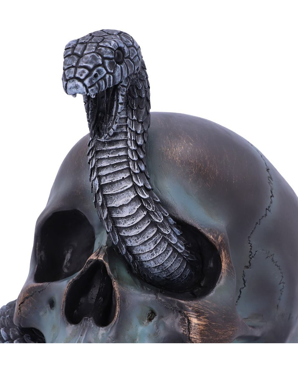 The Fate Of The Snake Gothic Skull 19cm ★ | Horror-Shop.com