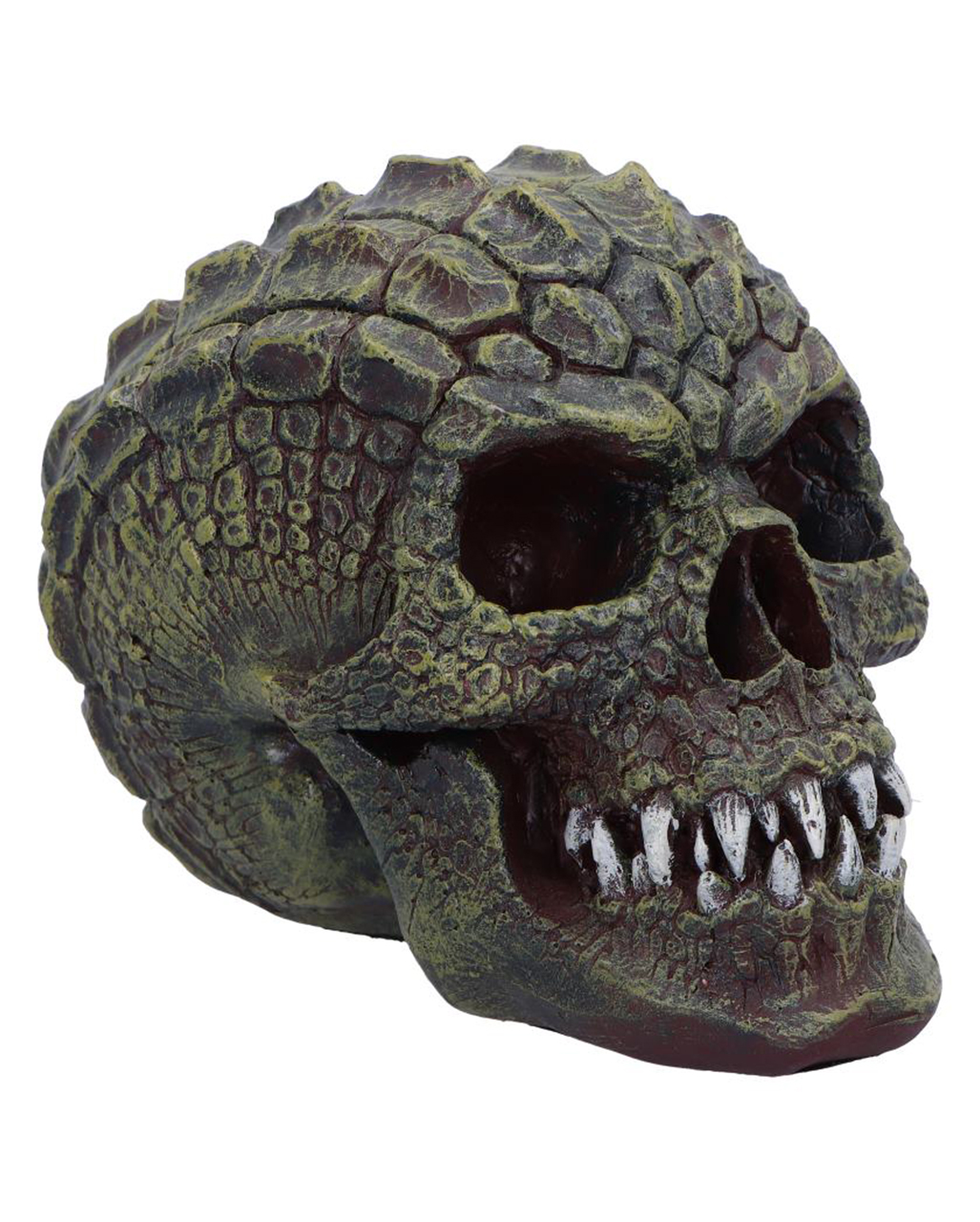 Reptillian Skull 17cm as Gothic Deco | Horror-Shop.com