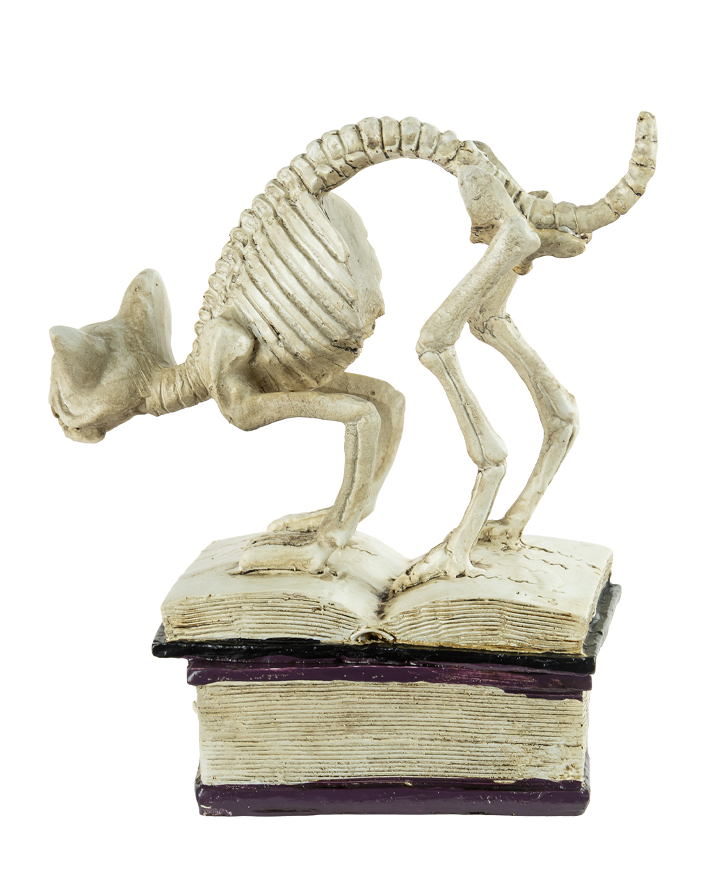 Skeleton Cat on Spellbooks 17,5cm | Horror-Shop.com