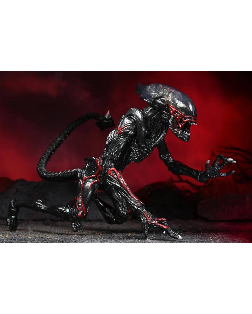 Aliens Action Figur Night Cougar Alien 23cm | Horror-Shop.com