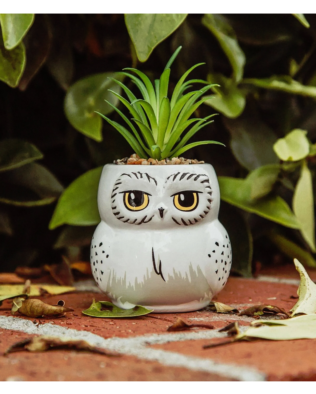 Harry Potter Hedwig Pot With Plant as a magical decoration | Horror ...