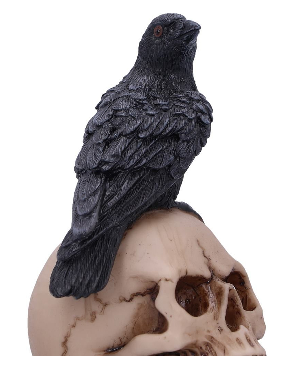 Raven's Spell Gothic Decorative Figure 10cm | raven on skull | Horror ...